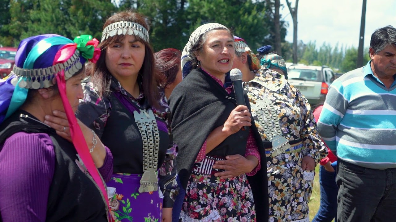 Cápsula promocional Programa Chile Indígena CONADI - YouTube