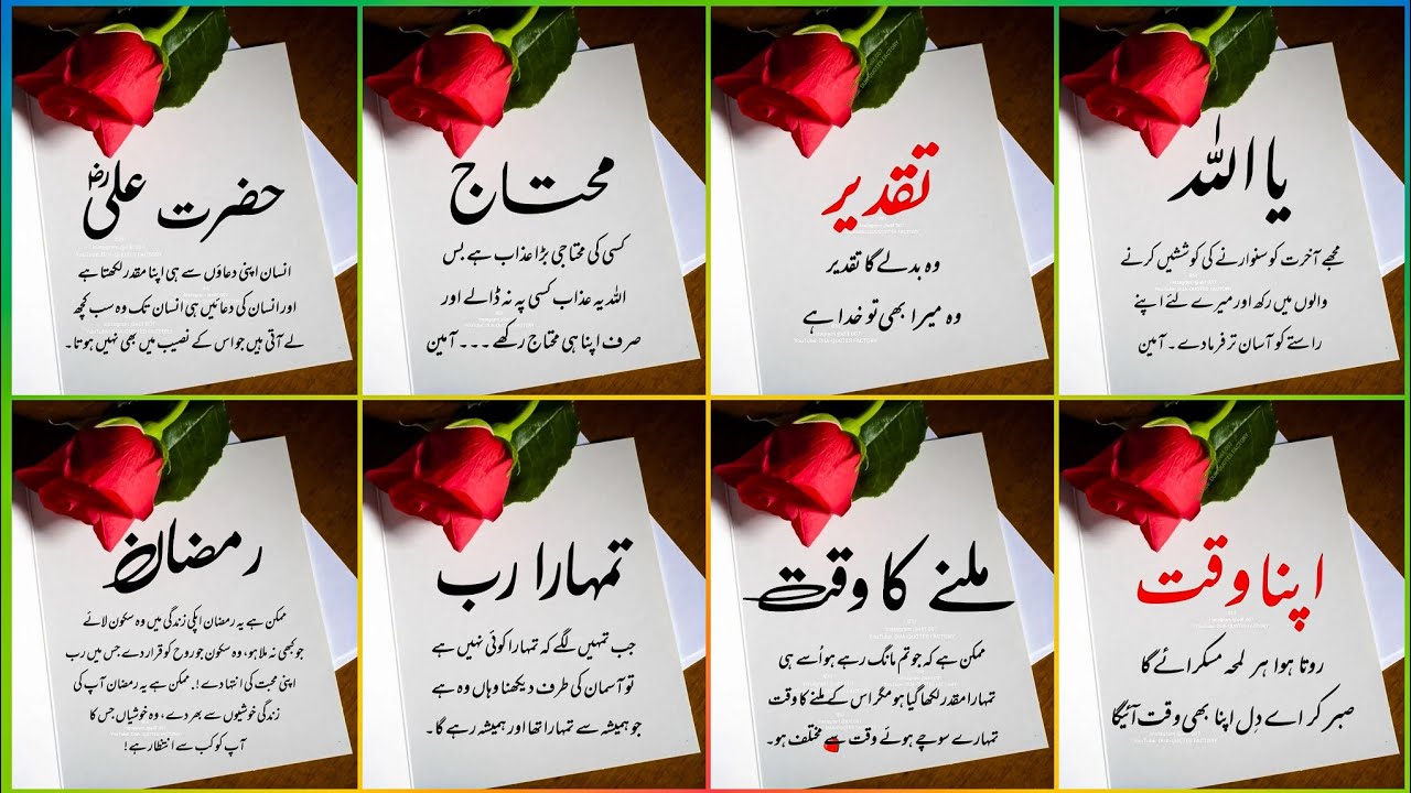 Powerful Islamic quotes for WhatsApp status | Inspirational Islamic dp ...