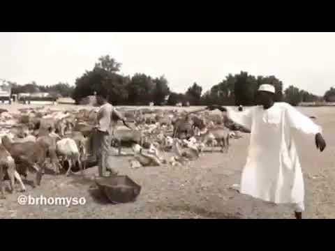 خرررروف العيد برهوومي-brhomy - YouTube