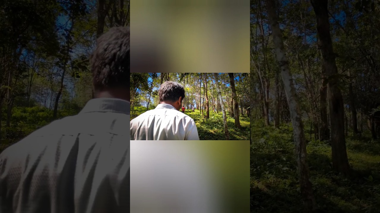 ARIPPA ECO TOURISM | TREKKING - YouTube