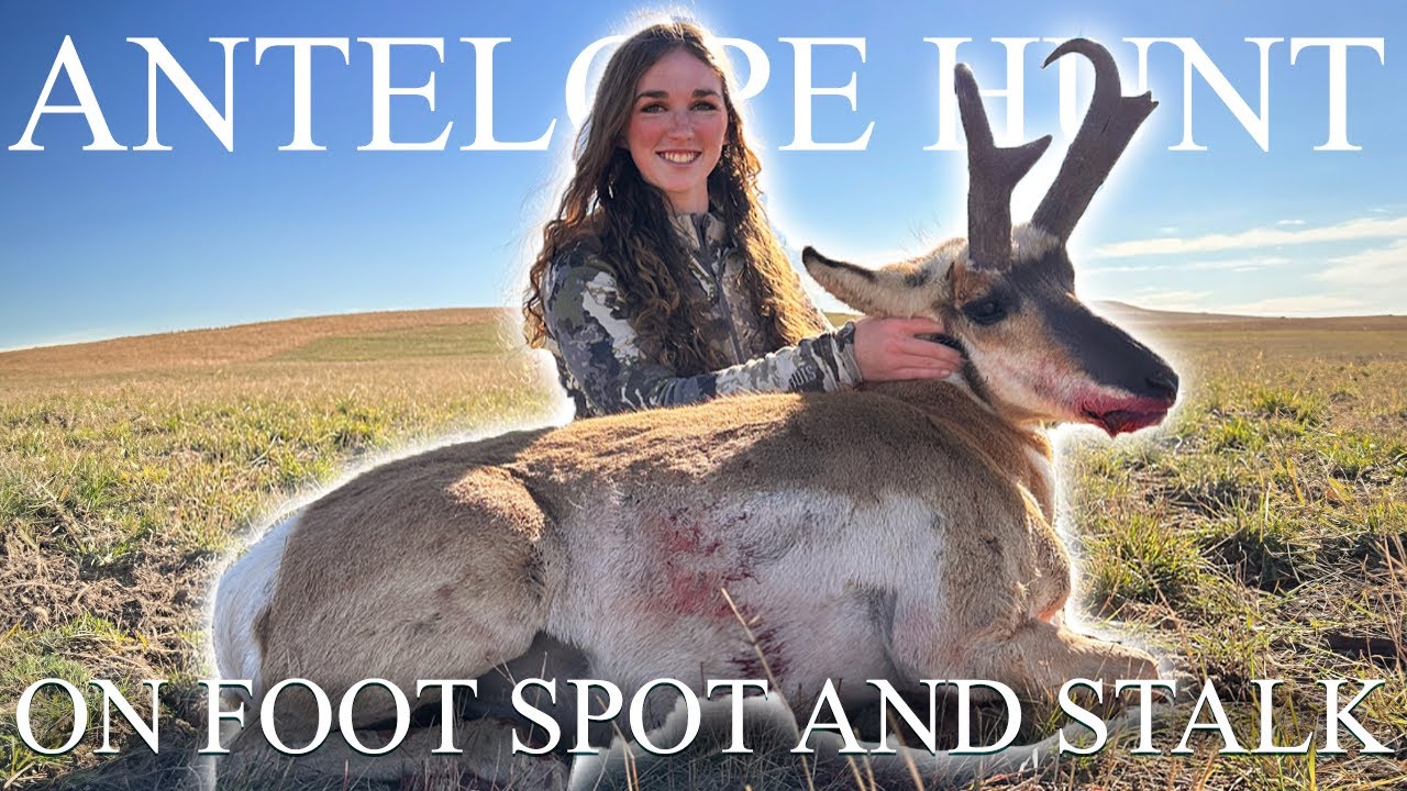 ON FOOT SPOT AND STALK | Antelope Hunt in Wyoming - YouTube