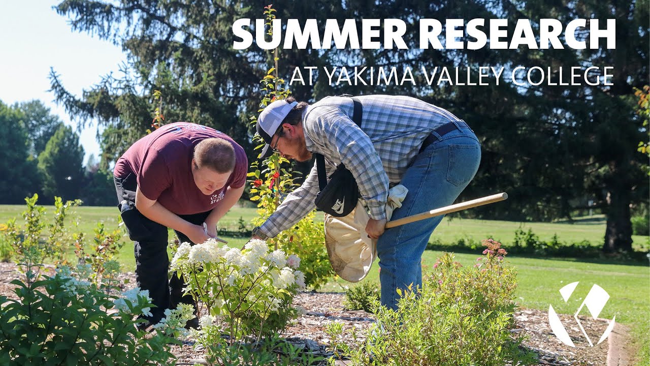 Summer Research at Yakima Valley College - YouTube