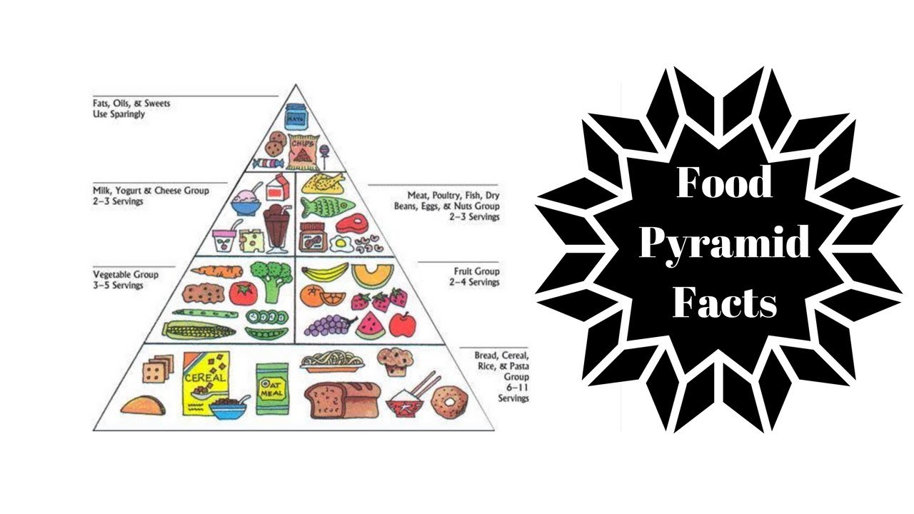 Food Pyramid Facts - YouTube