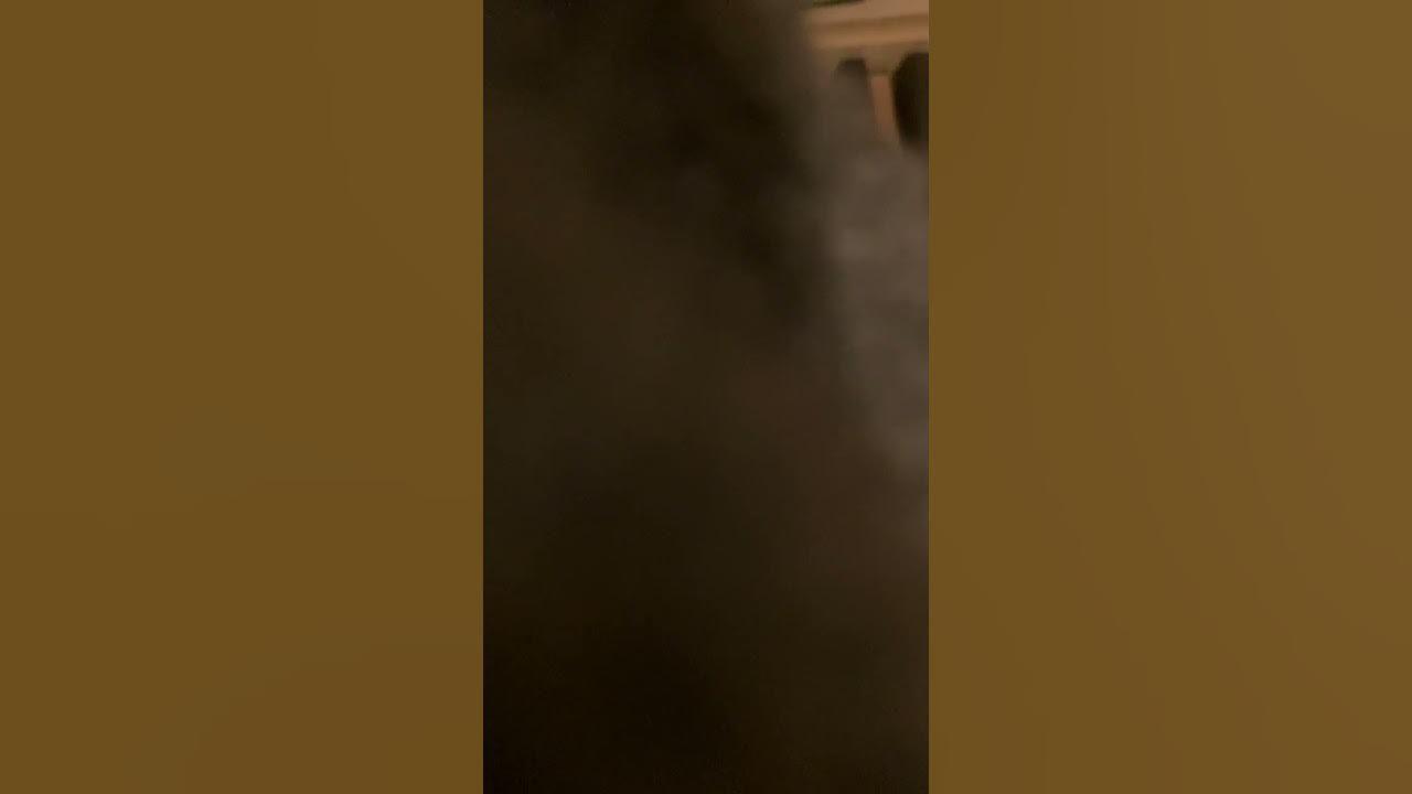 Carol of the bells - herrer - YouTube