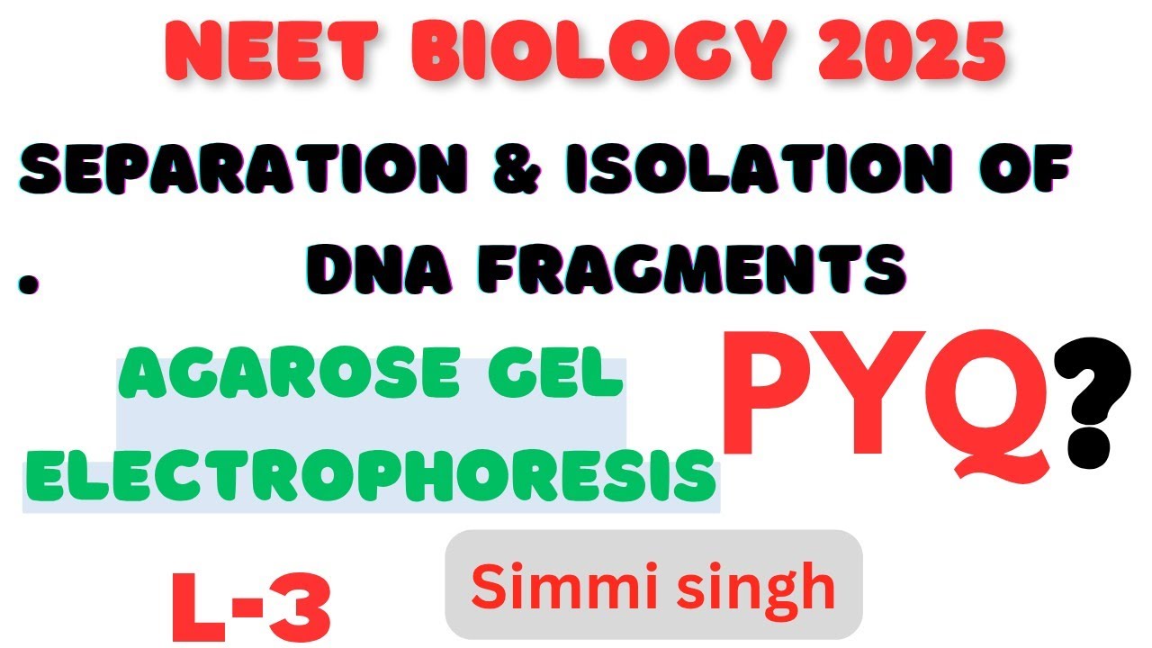 Agarose Gel Electrophoresis | Separation & Isolation of DNA fragments ...