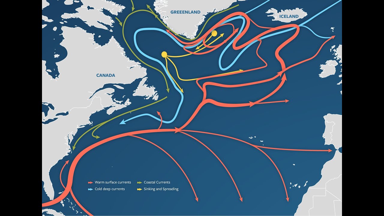 Climate Change and Ocean Circulation Systems - YouTube