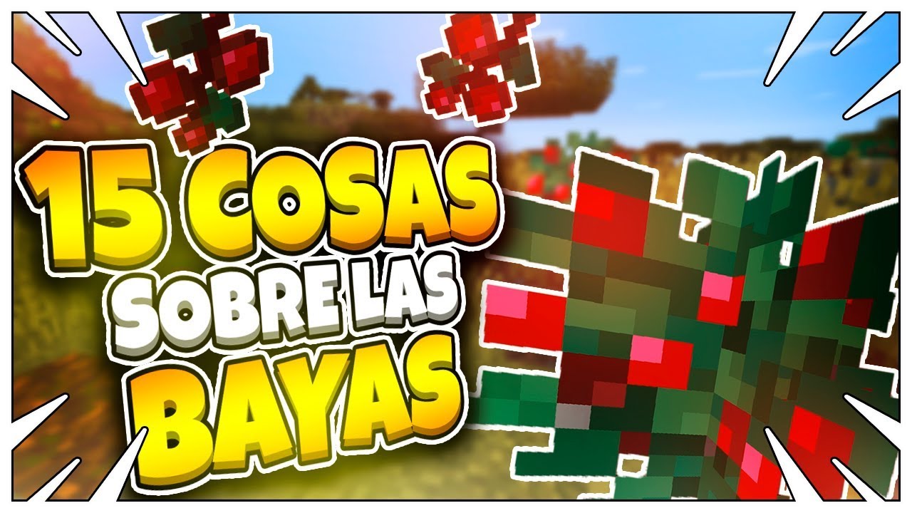 👉15 COSAS QUE DEBES SABER SOBRE LAS BAYAS👈 Minecraft PE - YouTube