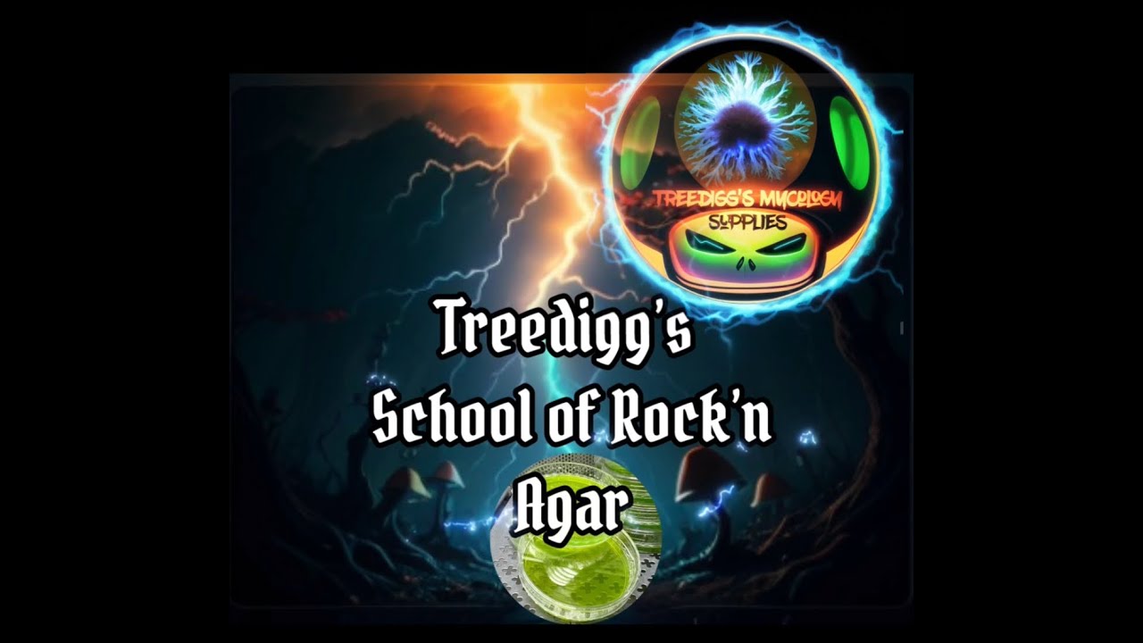 Introduction to the Course here at the School of Rock'n Agar! - YouTube