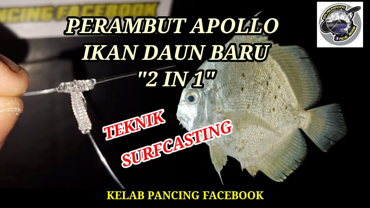 CARA-CARA IKAT PERAMBUT APOLLO IKAN DAUN BARU "2 IN 1" - TEKNIK ...