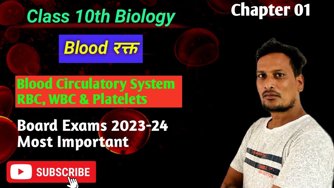 Blood Circulatory System Class 10 Biology | WBC, RBC & Platelets Plasma ...