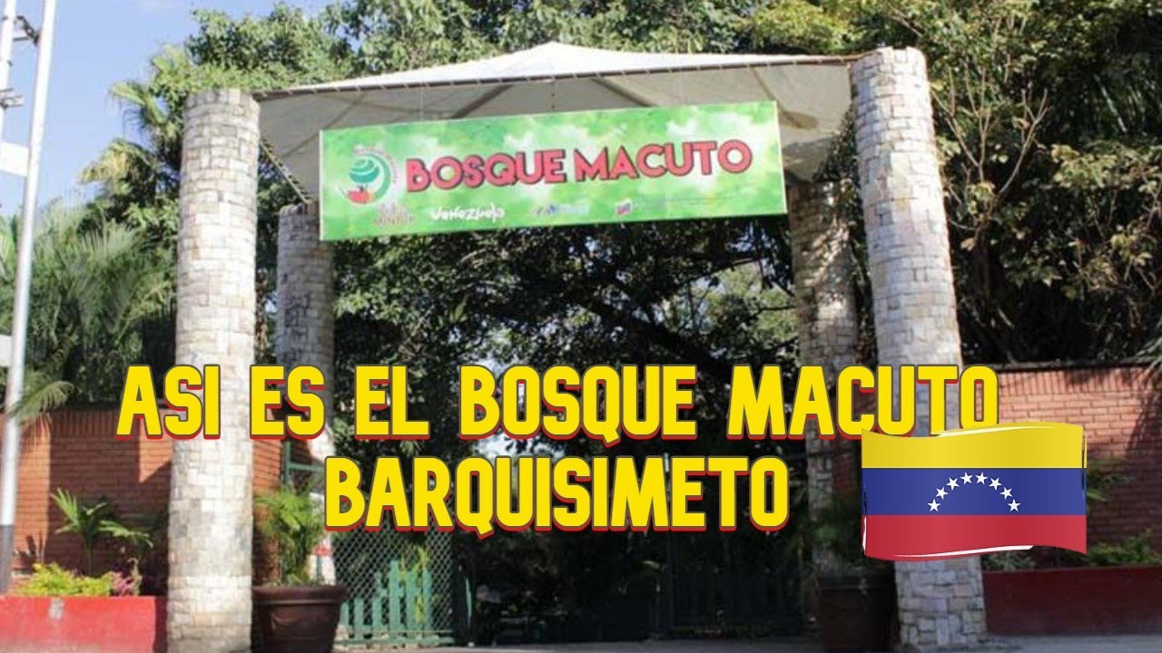 Descubre la verdadera belleza del Bosque Macuto en Barquisimeto ...