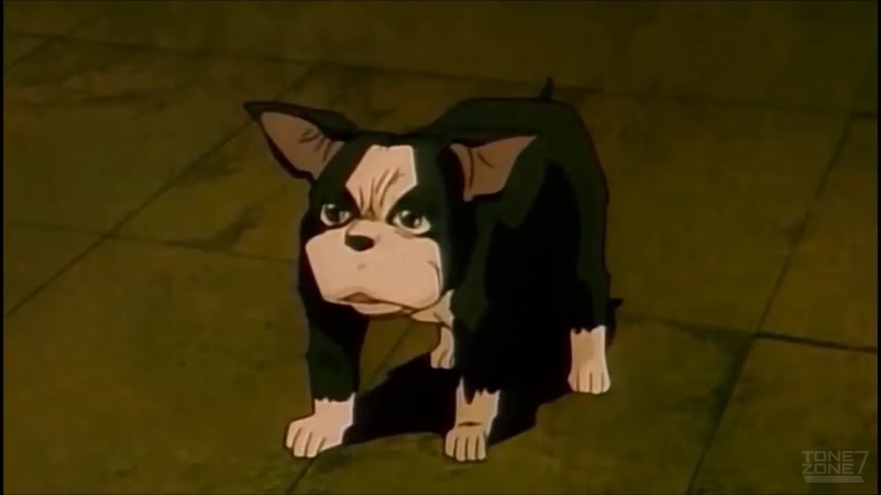 I can't believe Iggy dies! - YouTube