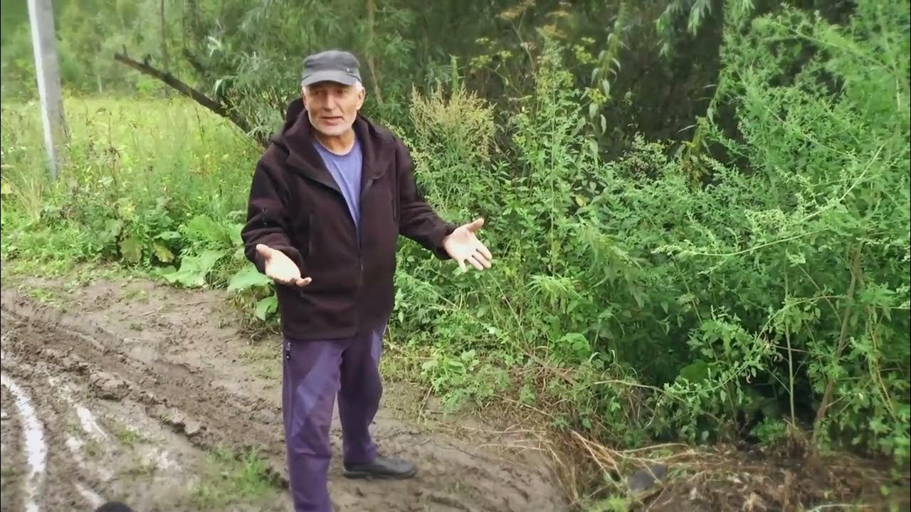 Жители села Раздольное под Новосибирском остались без дороги к своим ...