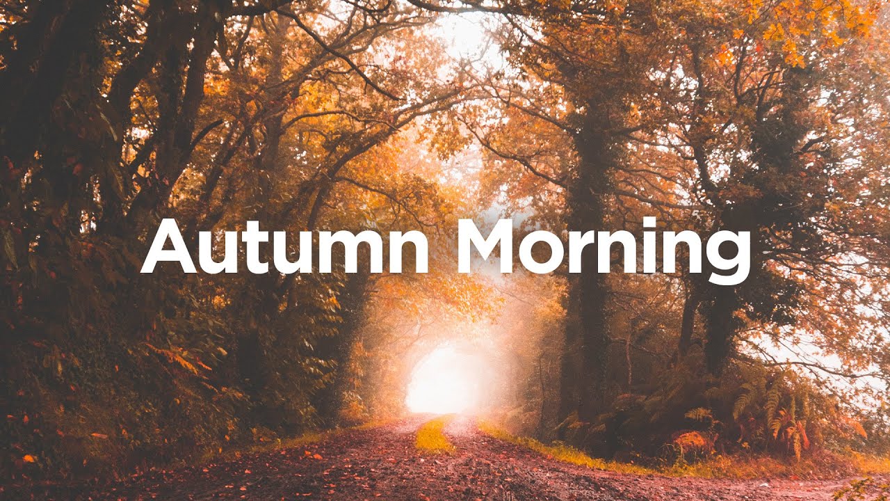 Autumn Morning Vibes 🍂 Chillout Playlist to Start Your Day - YouTube