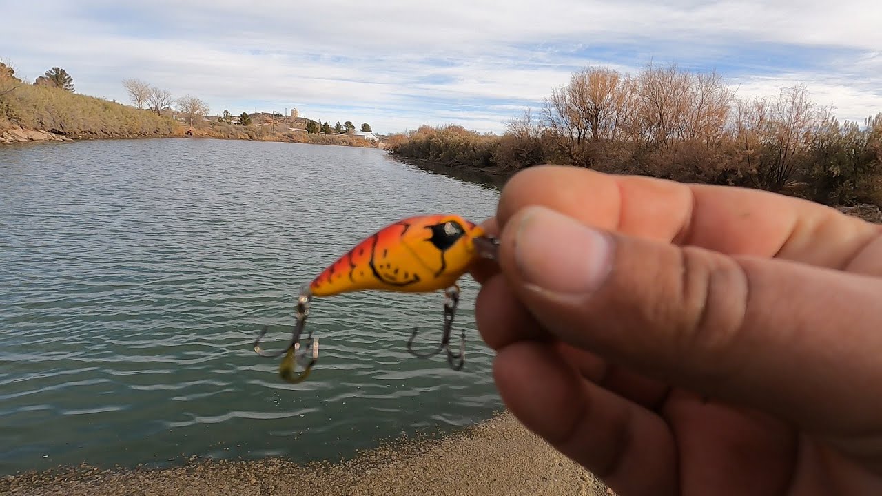 Trout Fishing with a Micro Crankbait (Easy Limit) - YouTube