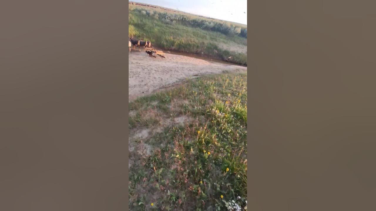 ХОЧУ ПОМЕНЯТЬ НАЗВАНИЕ КАНАЛА ПИШИТЕ ИДЕИ В КОММЕНТАРИЯХ Youtube