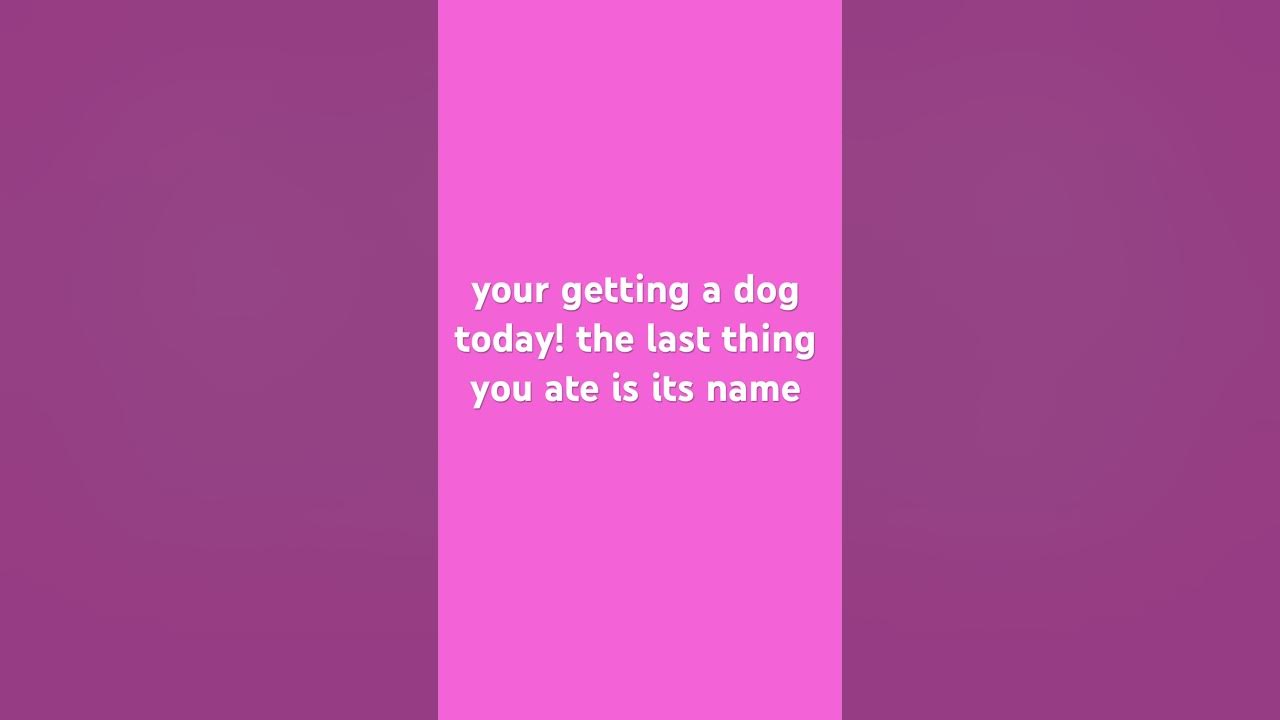 What Is The Last Thing You Ate YouTube what-is-the-last-thing-you-ate-youtube