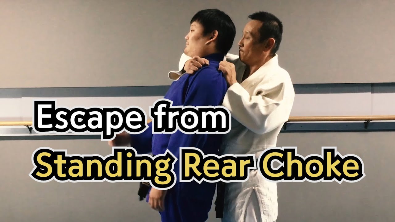 How to Escape from Standing Rear Choke in Hapkido | TaekwonWoo - YouTube