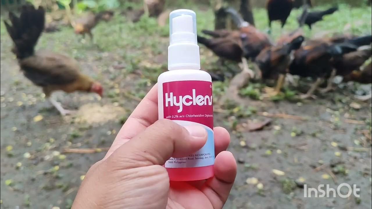 Mabisang gamot (Spray) para sa sugat ng manok. - YouTube