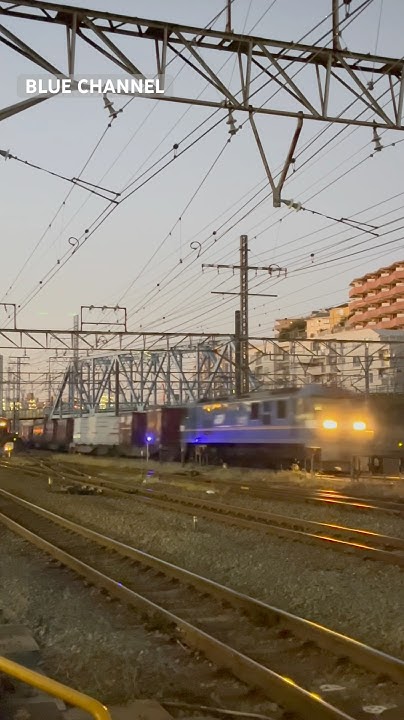 (貨物列車) 2024/11/13 1084レ EF210-308 + コキ20B (大阪タ〜仙台タ) #Shorts - YouTube