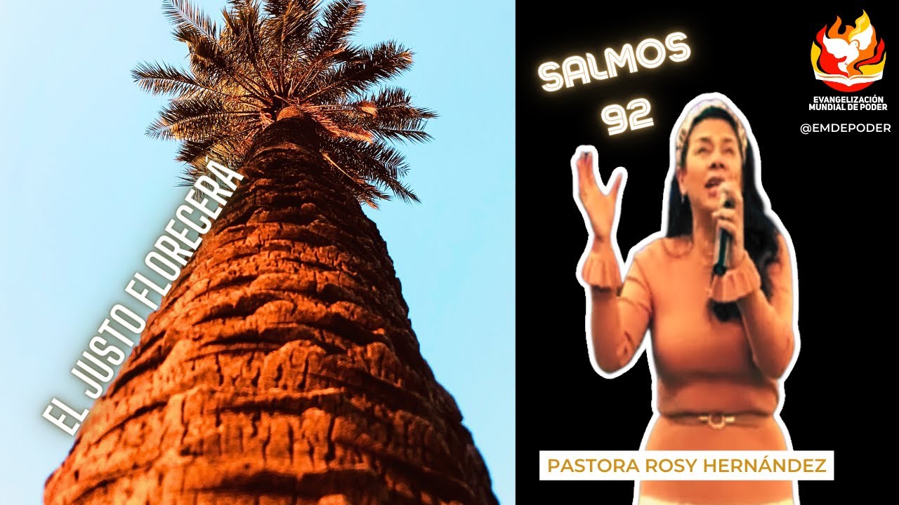 ¿Cómo Eres Como La Palmera?| Pastora Rosy Hernández | Poder Y Unción De ...