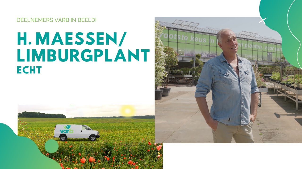 Boomkwekerij & Plantencentrum H. Maessen / Limburgplant - Varb komt ...