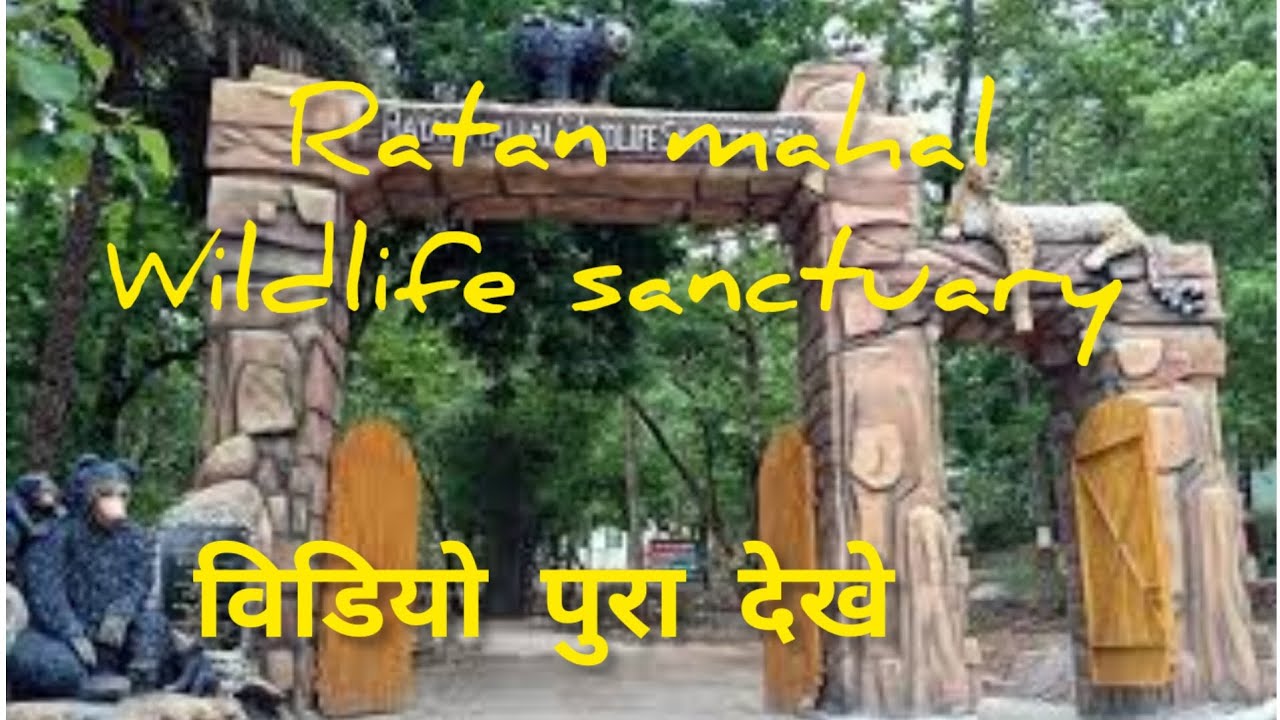 Ratan mahal vlog|| रतन महाल #vlog #wildlife #waterfall # ...