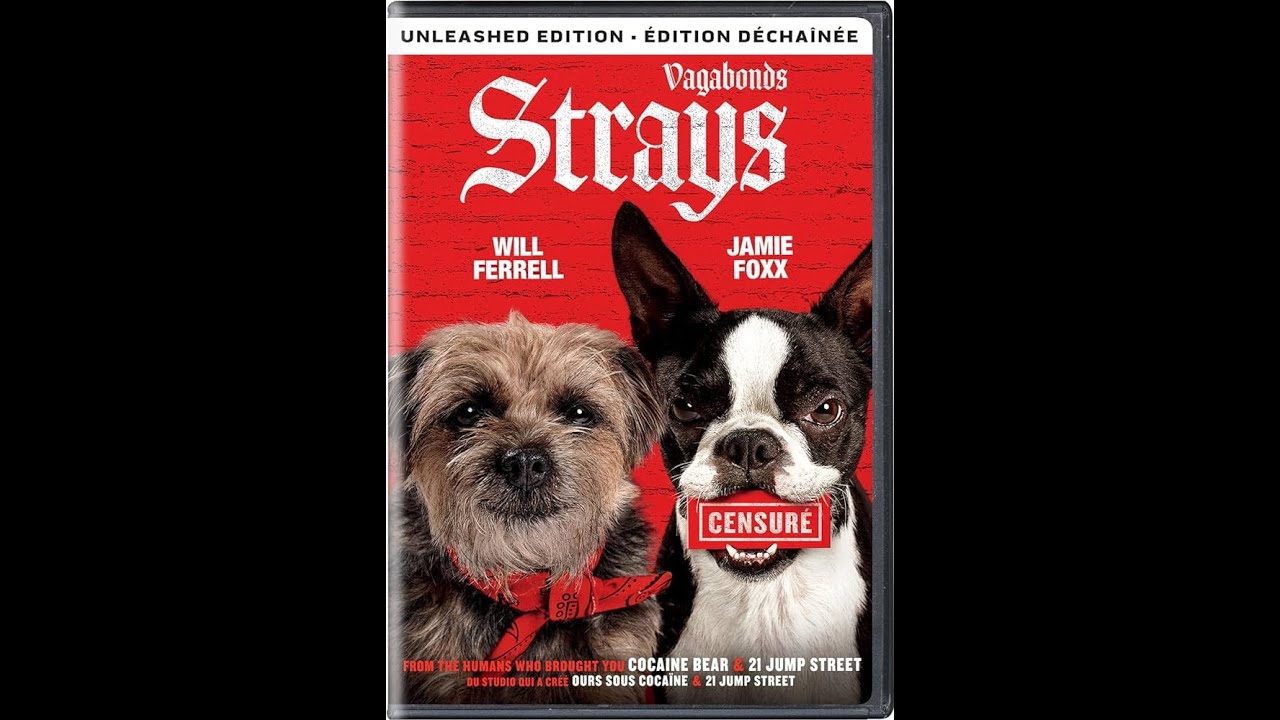 Opening to Strays (2023) DVD 2023 - YouTube