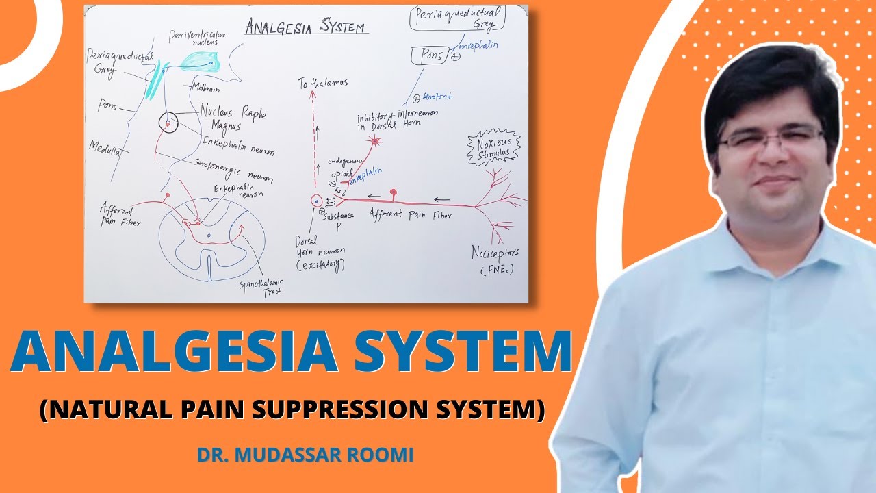 The Analgesia System | Natural Pain Suppression System | Pain Control ...