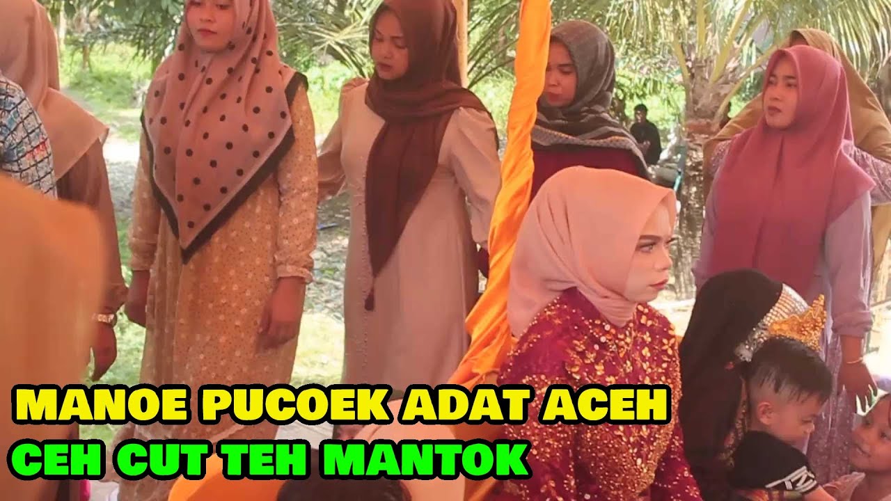manoe pucok adat aceh ceh cut teh lagu aceh 2024 mandi pucuk - YouTube
