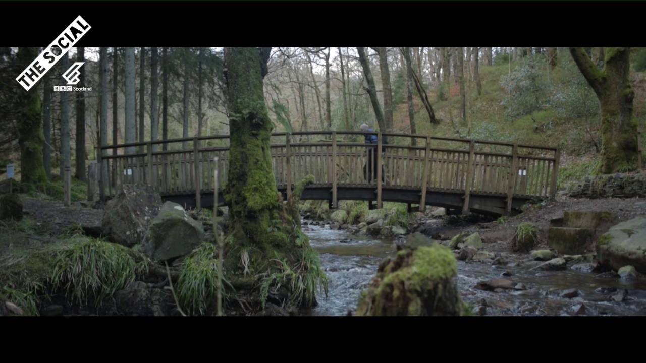 Shooting in the wild - Aberfoyle Forest - YouTube