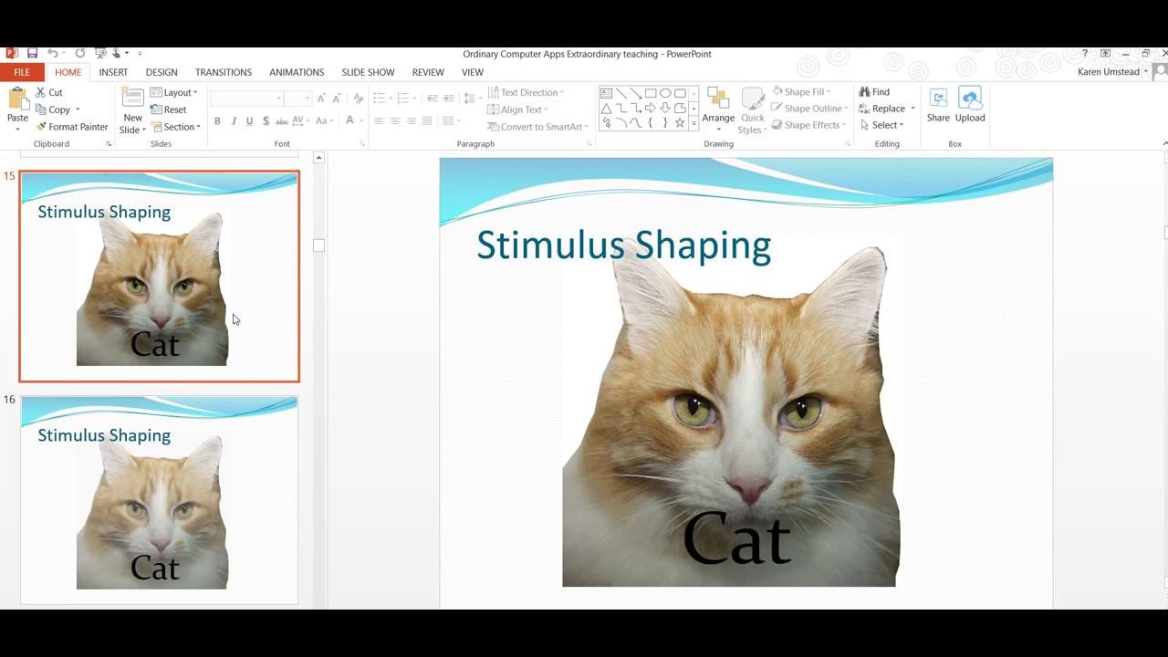 Ordinary Computer Applications Presentation Highlights - YouTube