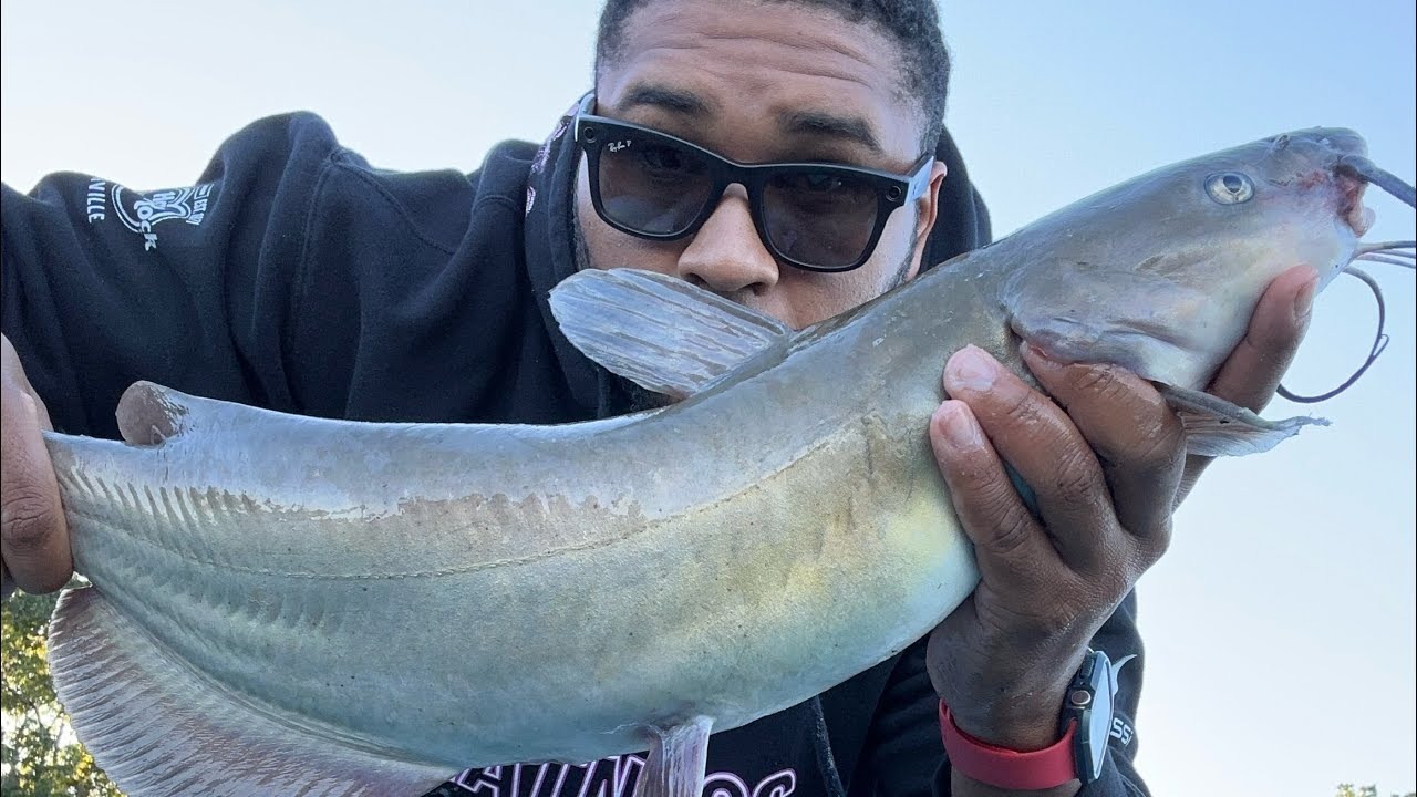 The October Bite is on fire!! Big Cats in Shallow Water! - YouTube