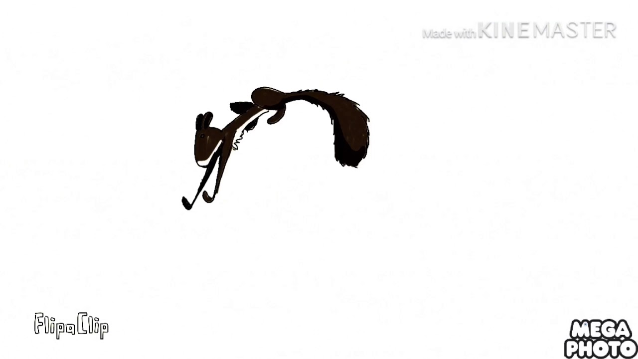 Squirrel FlipaClip Effects - YouTube