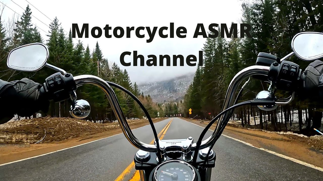 ASMR Pure Sound of Harley Davidson Motorcycle - YouTube