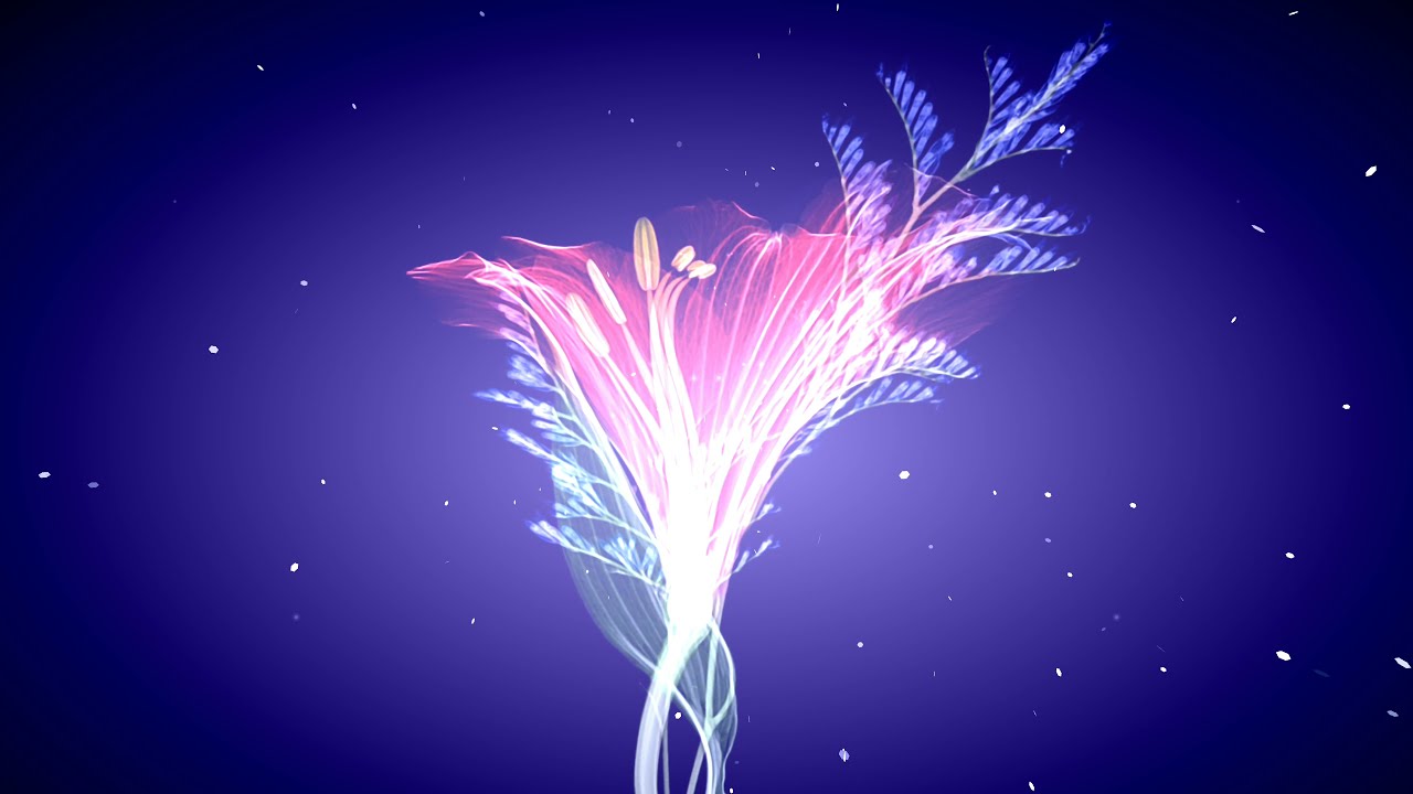 BDMP - Dont Let Go (Original Mix) - YouTube