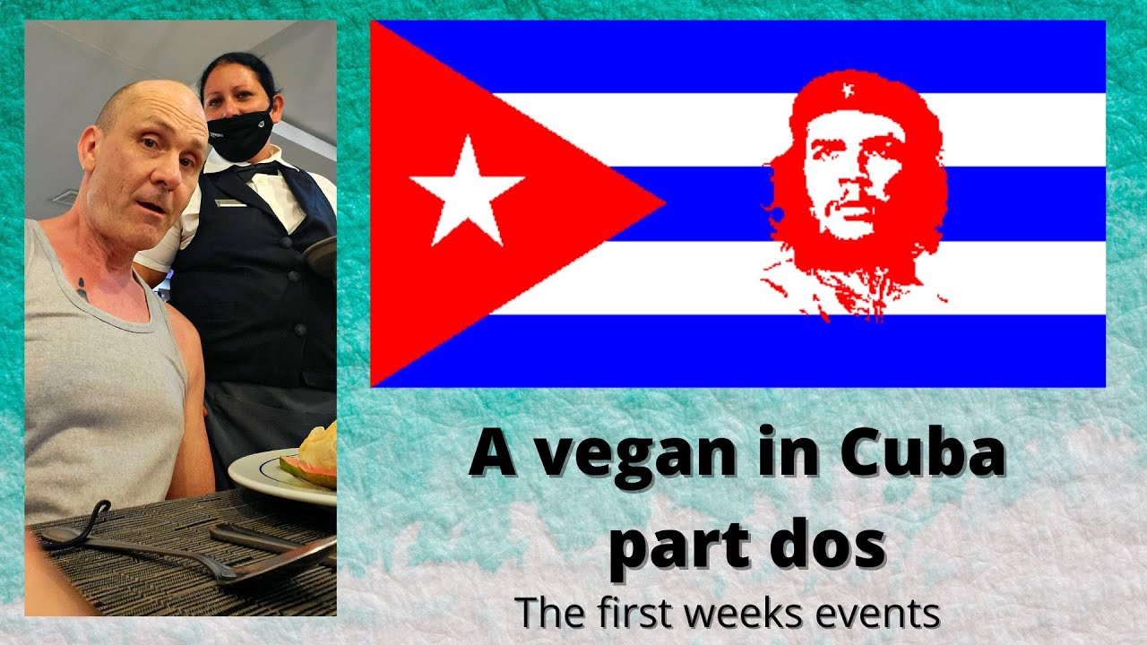 My Cuba Holiday part 2 (bad food , mozzies , rock bands and drunks ...