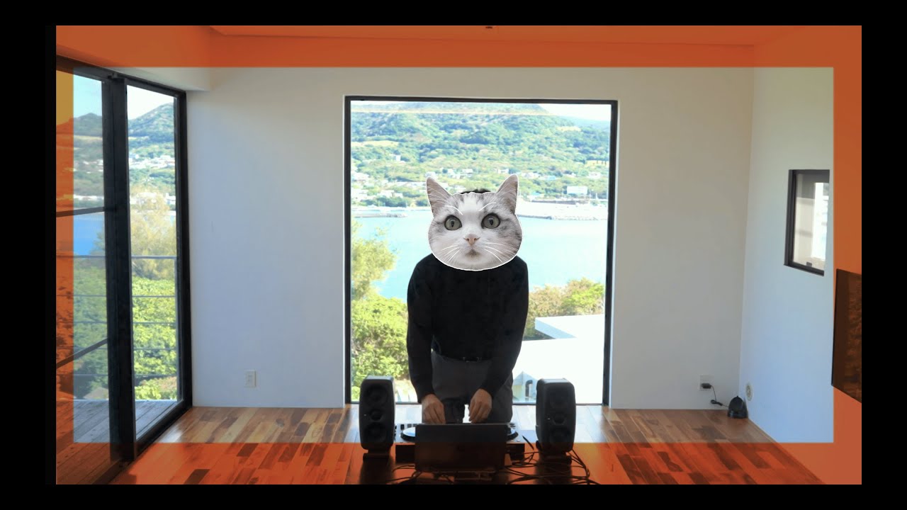 Jazzy House Mix in Okinawa, Japan | Cat Playing DJ - YouTube