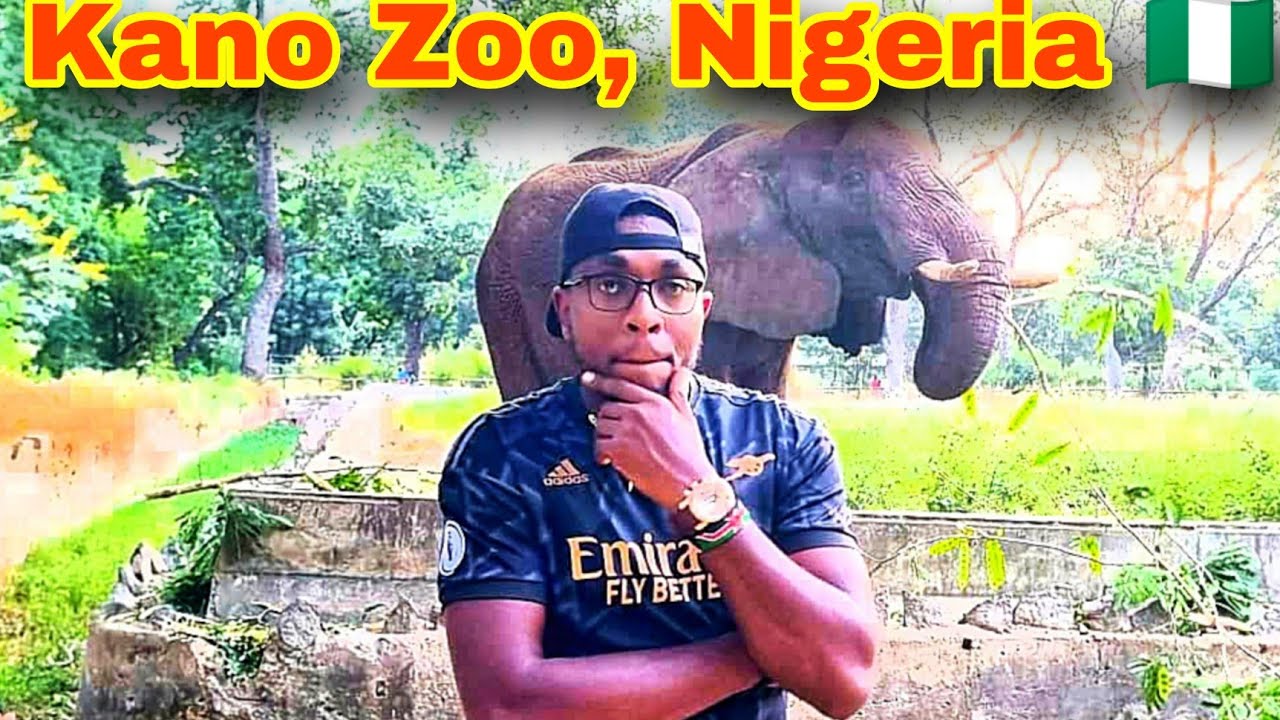 Exploring Kano Zoo, Nigeria 🇳🇬 ;-The Kenyan 🇰🇪 way #Kano # ...