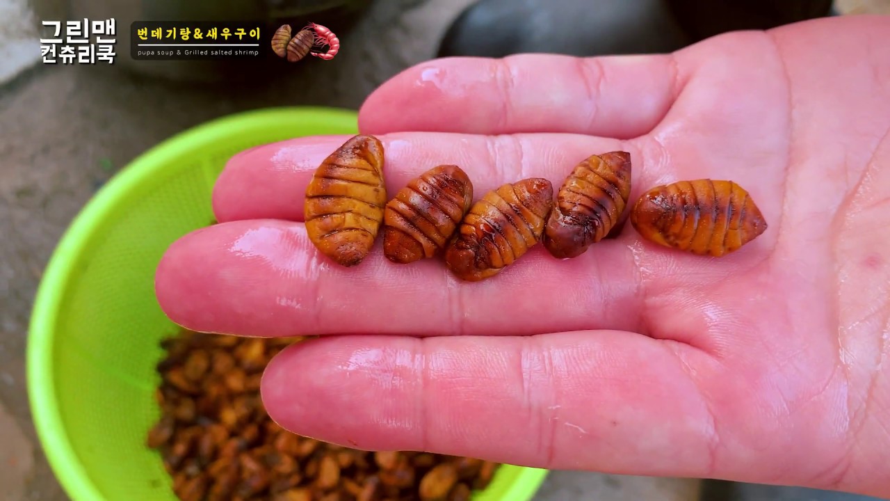 이건 한입에 50마리씩 먹을수 있습니다. Korean Silkworm soup & Grilled Shrimp (Feat,모과주 ...