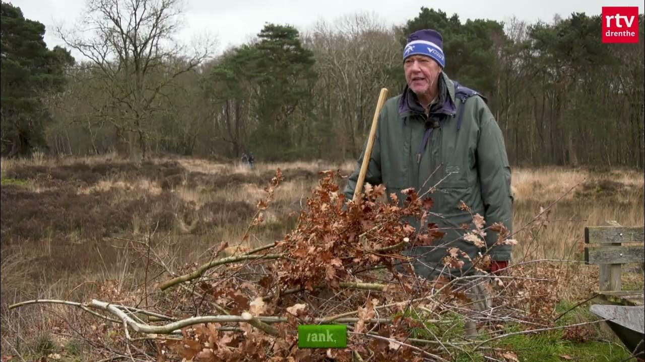 Vrijwilligers onderhouden het Kyllotsbos: 'We zijn er supertrots op' - YouTube