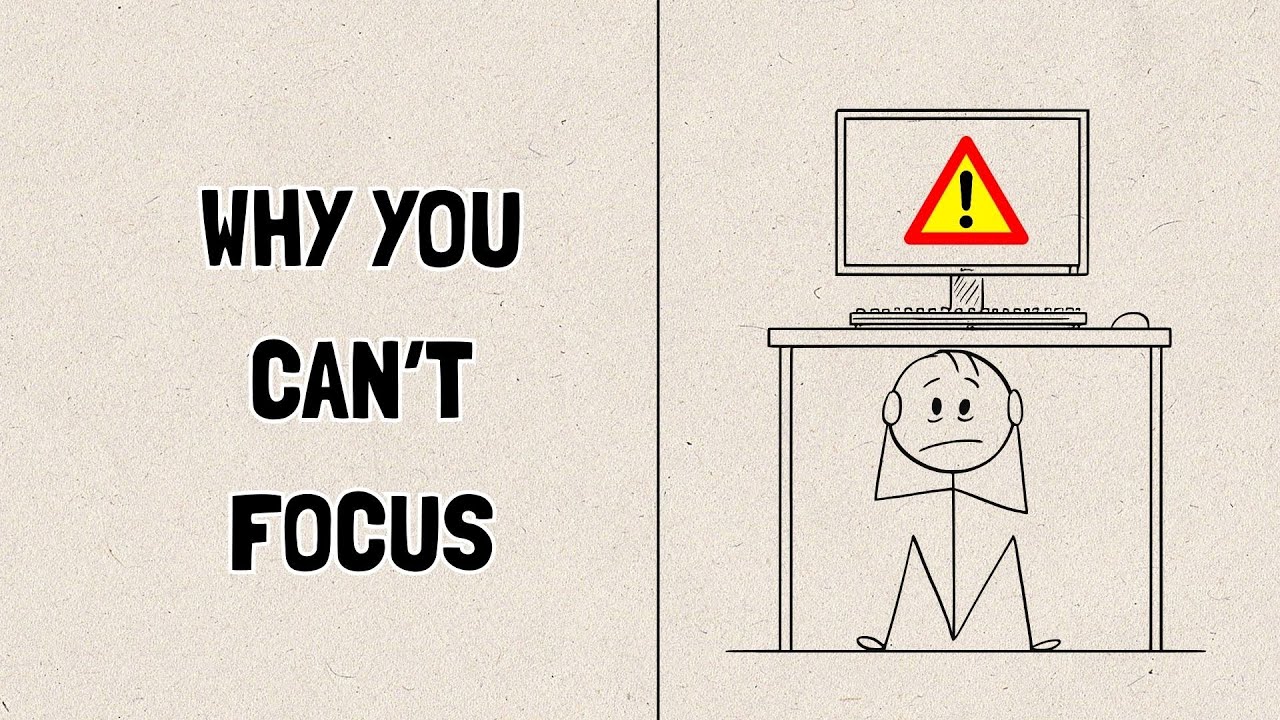 Stolen Focus: Why You Can’t Concentrate Anymore (And How to Get It Back ...