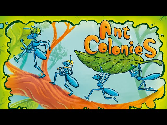 Ant Colony For Kids
