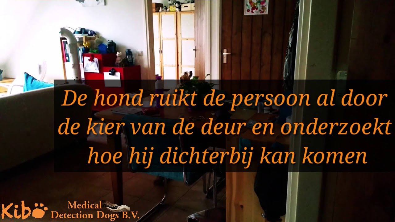 ASS Hulphond in training - YouTube