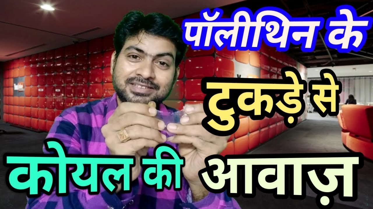 koyal bird/ koyal bird singing Indian black cuckoo bird/कोयल की आवाज ...