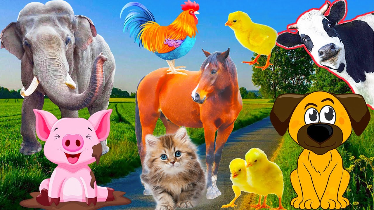 Funny farm animal sounds: cat, dog, cow, duck, monkey - Part 5 - YouTube