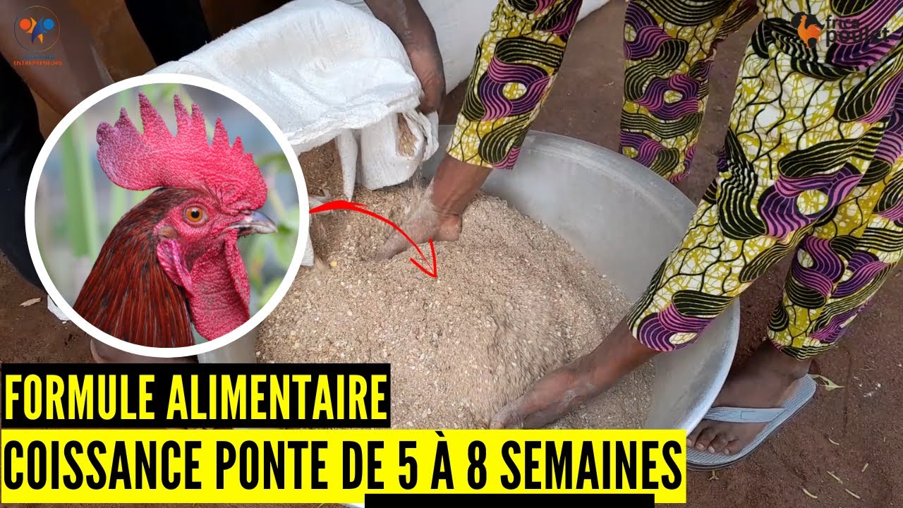 (Originale) FORMULE ou COMPOSITION d'aliment croissance PONTE de 5 à 8 ...