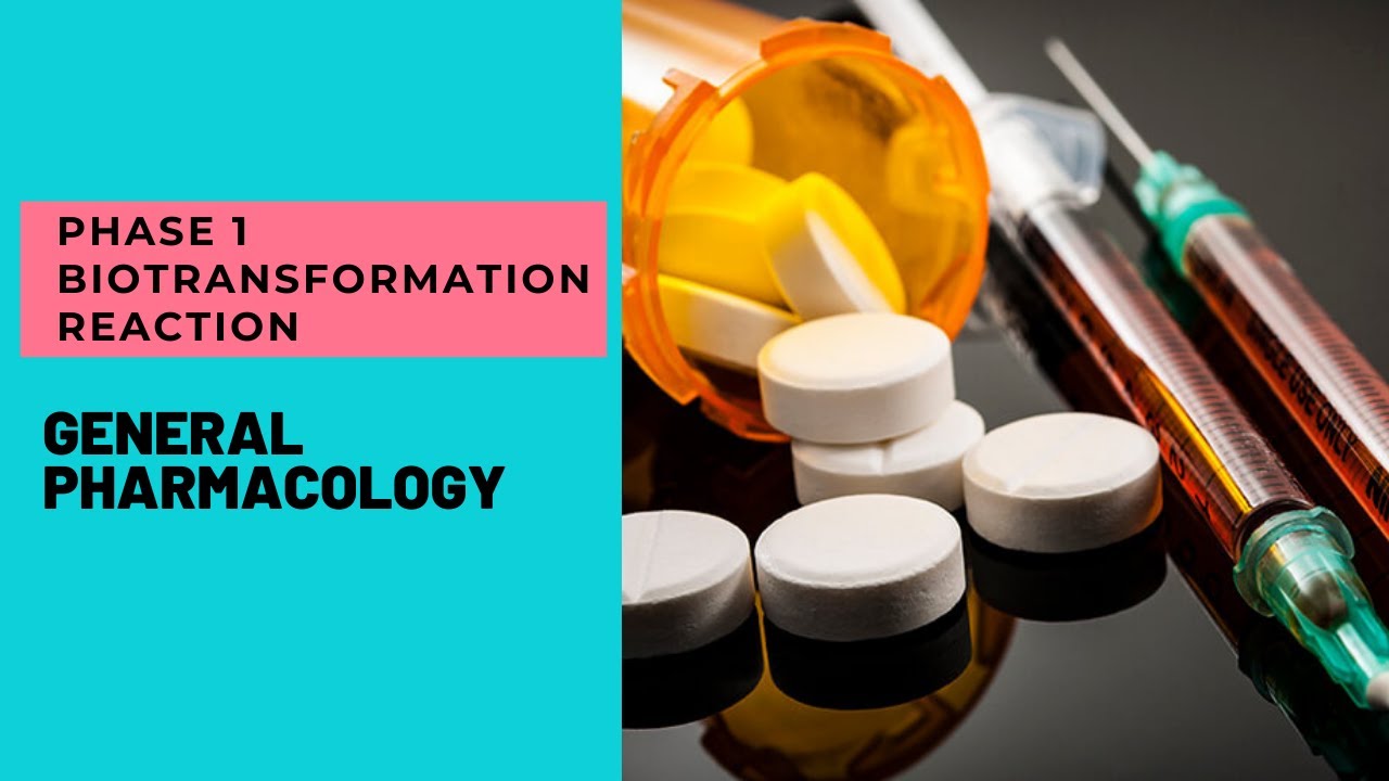 BIOTRANSFORMATION LECTURE 1 || PHASE 1 REACTIONS || GENERAL PHARMCOLOGY ...