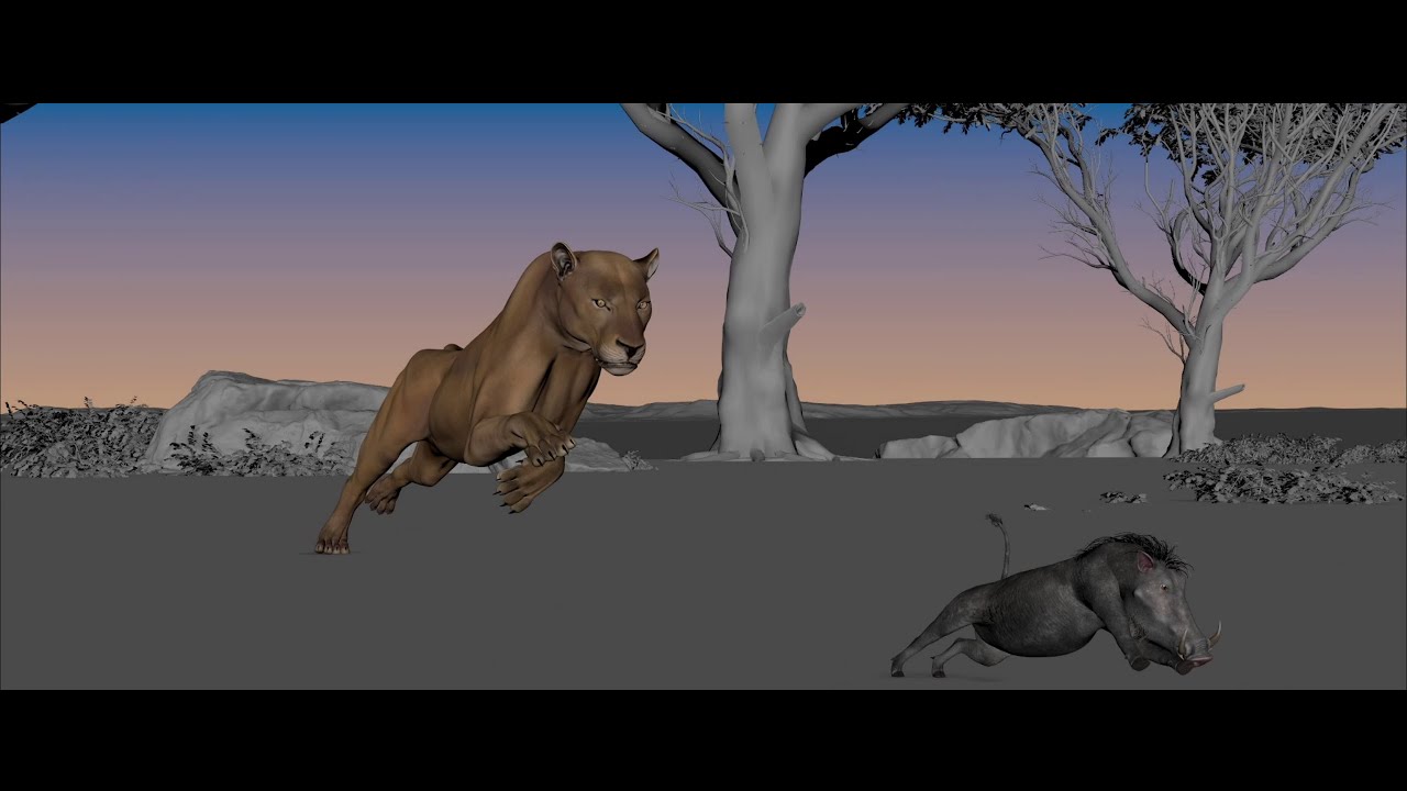 Lion Animation - YouTube