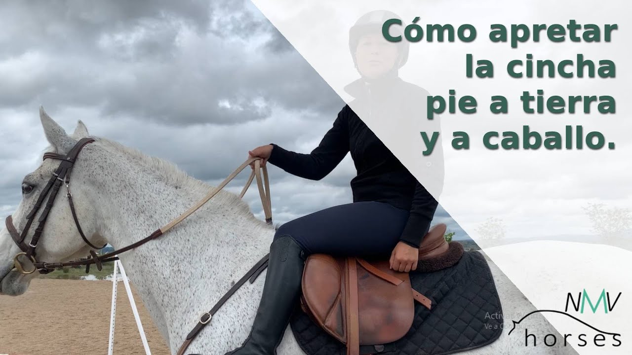 🐴Cómo apretar la cincha a tu caballo PASO a PASO🐴 - YouTube